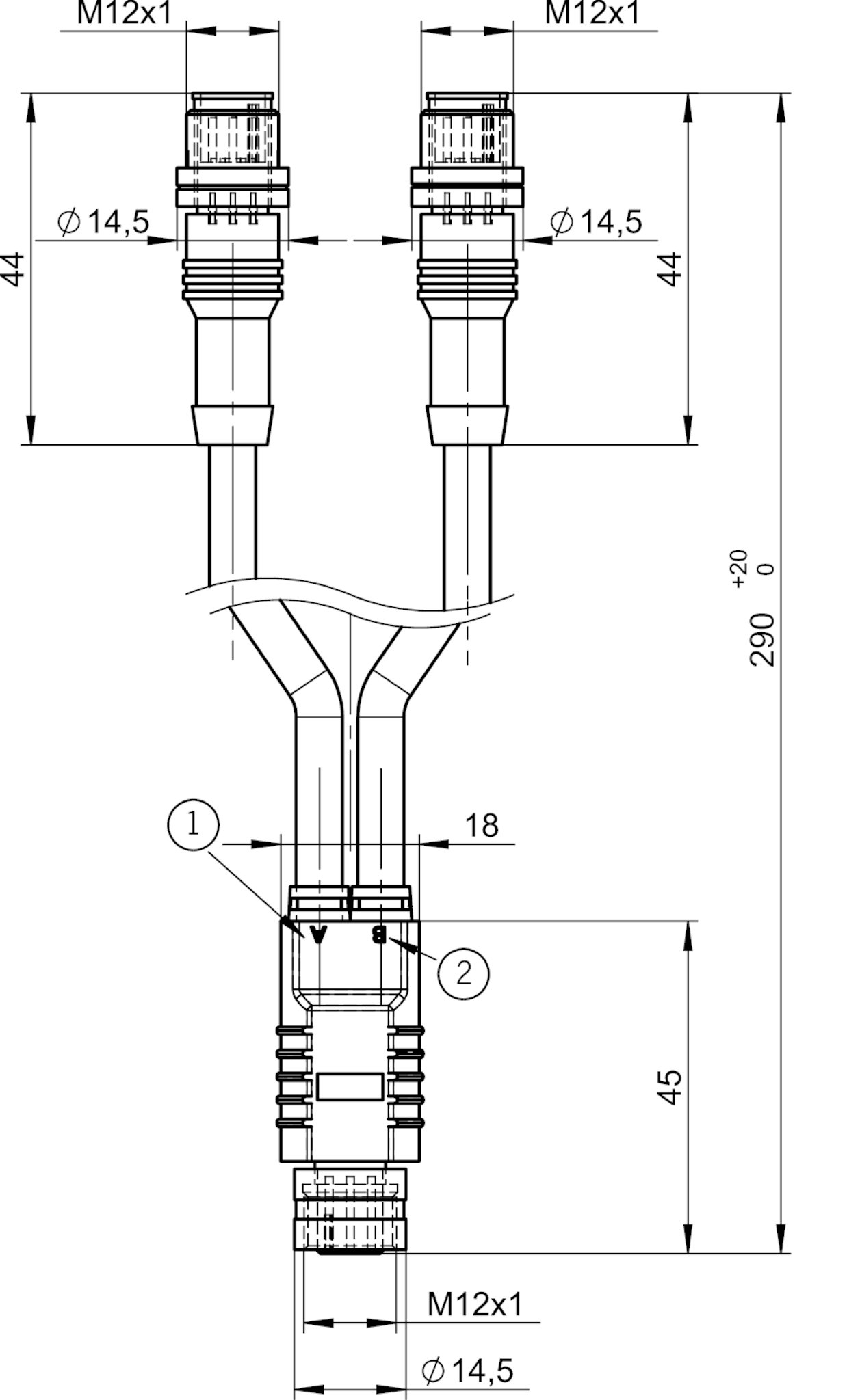 AC-YD-V0,2-SBB-124516 Y-distributor M12 with connection cable, 5-pin ...
